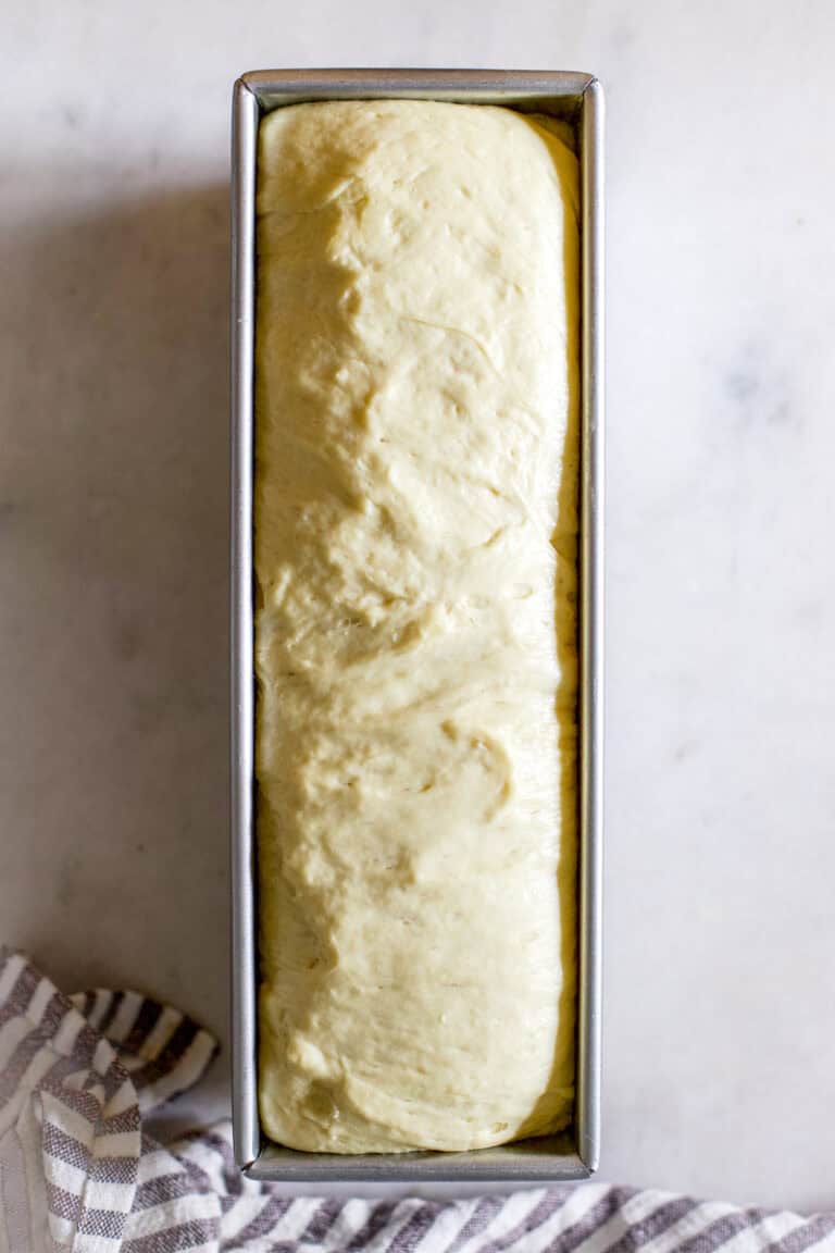 Sandwich Bread : Extra Large Loaf! - Ninnescah Made