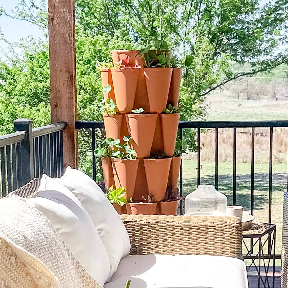 Review of Greenstalk Garden Vertical Gardening Systems (updated 2025 ...