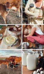 How to Make Colby Cheese: A Step-by-Step Guide for Beginners ...