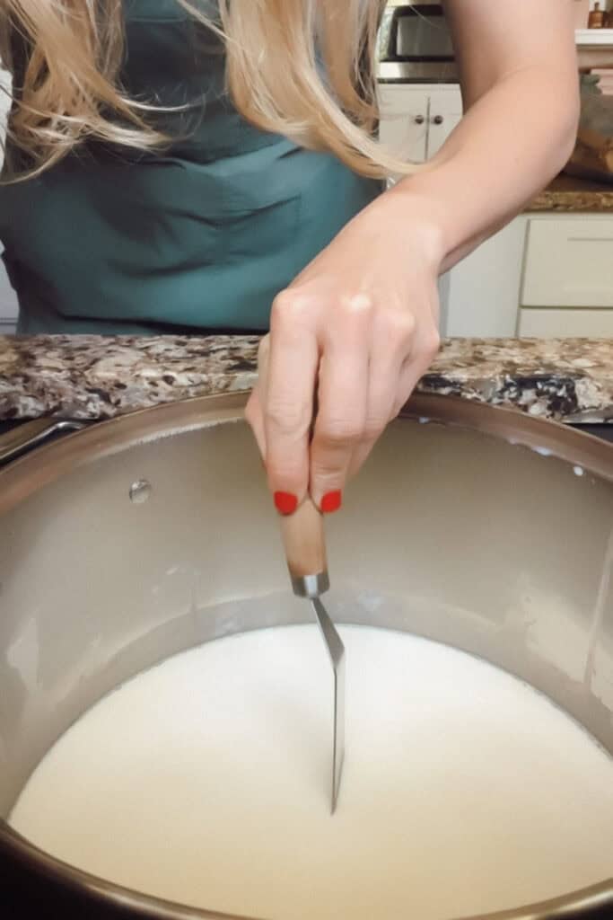 How to Make Colby Cheese: A Step-by-Step Guide for Beginners ...