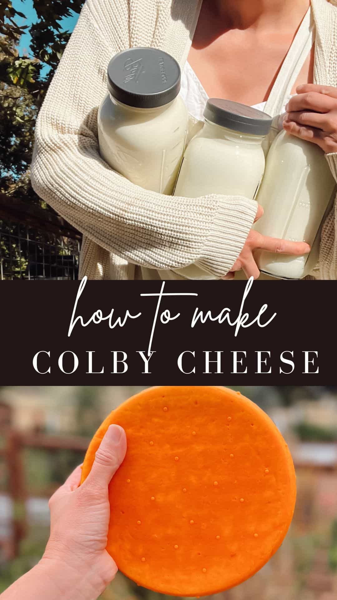 How to Make Colby Cheese: A Step-by-Step Guide for Beginners ...