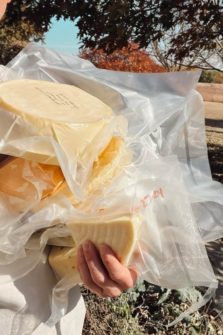 How to Make Colby Cheese: A Step-by-Step Guide for Beginners ...