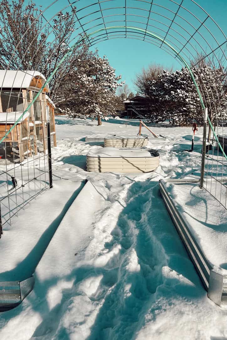 Cold Weather Checklist for Chickens in Winter - Ninnescah Made